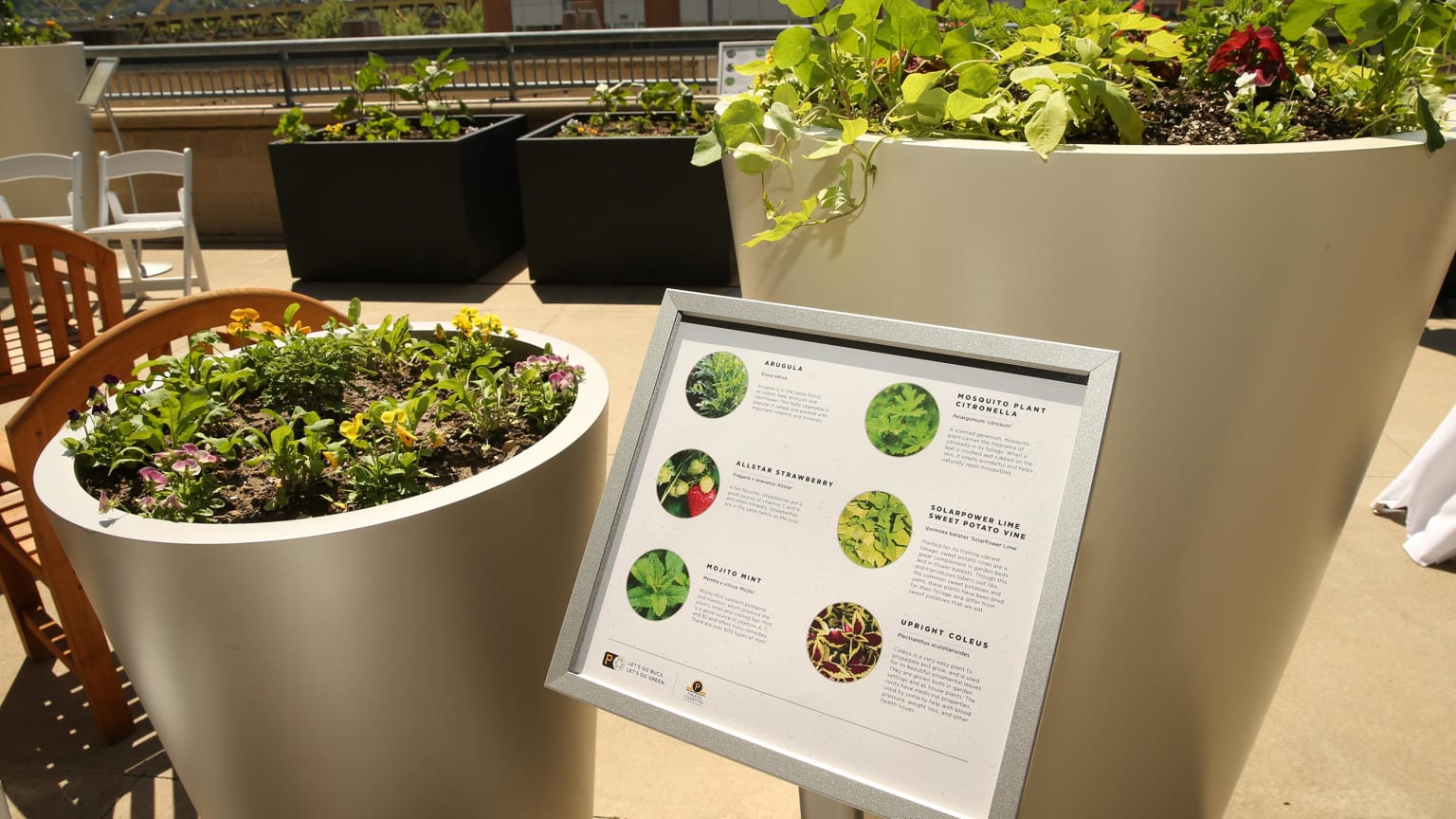 PNC Park Urban Garden | Pittsburgh Pirates