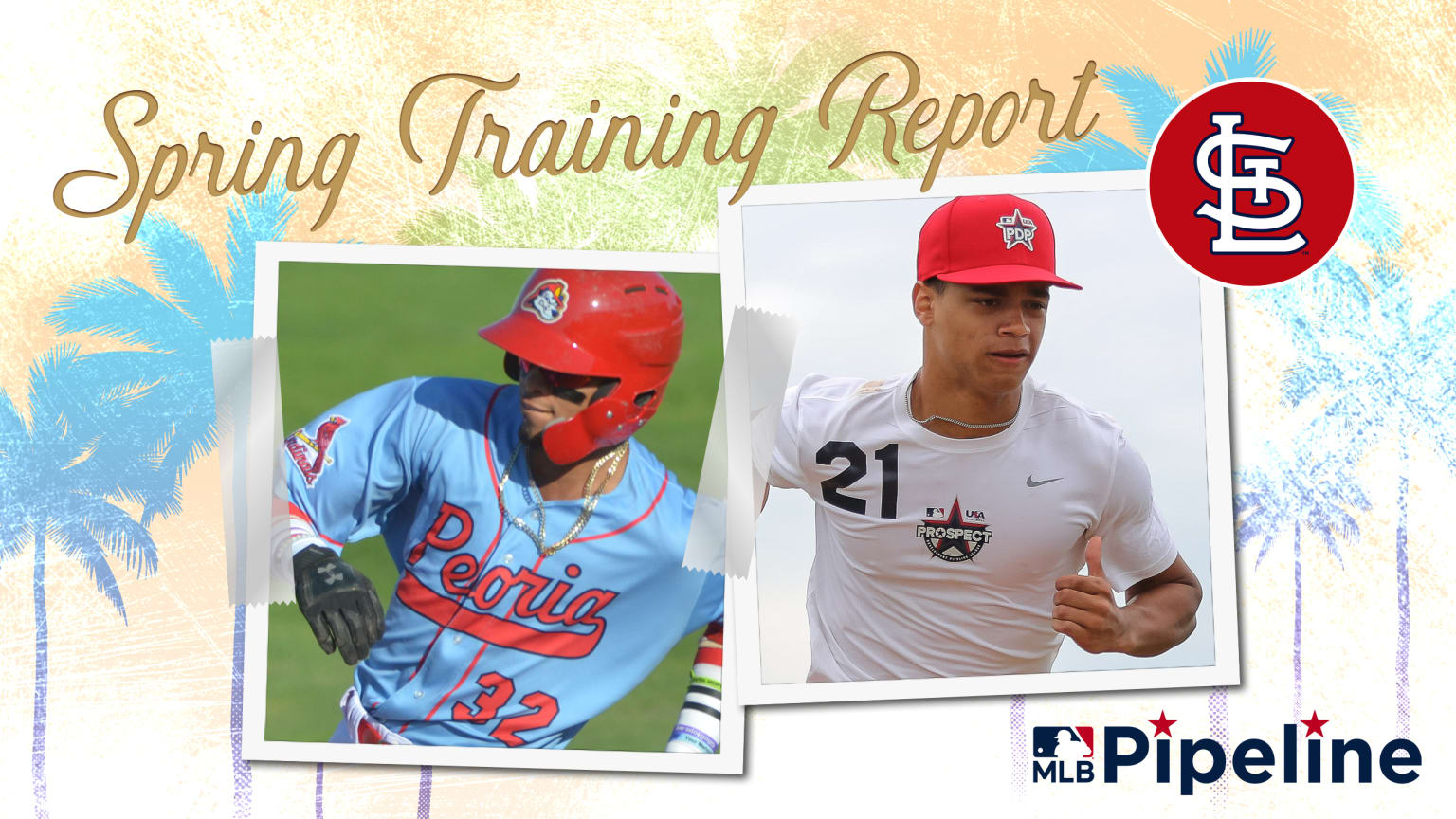 Cardinals Minor League Spring Training report
