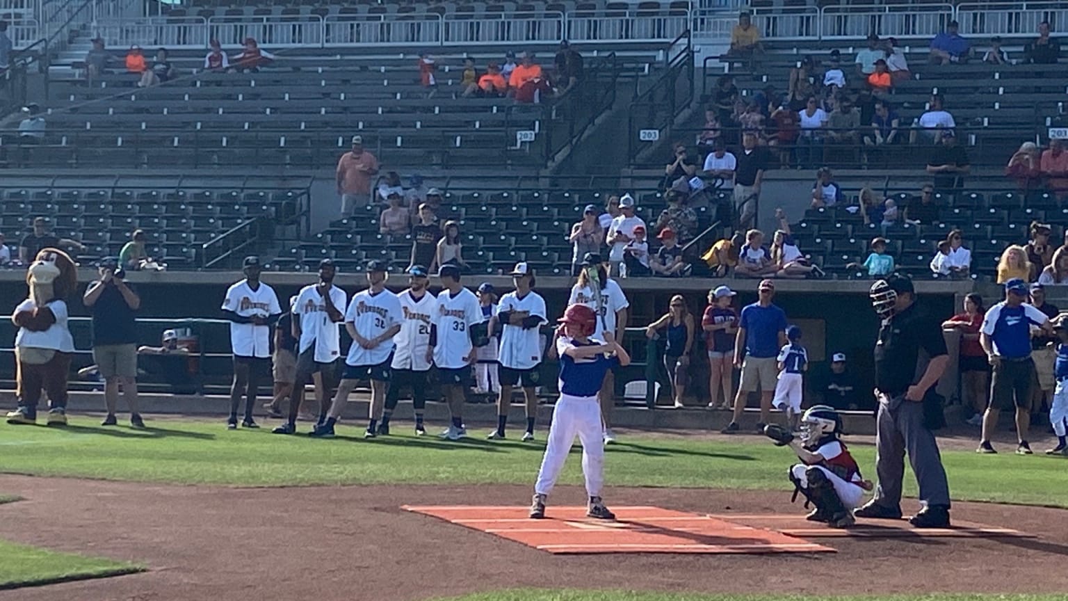 RiverDogs ballpark hosts youth game interrupted by violence