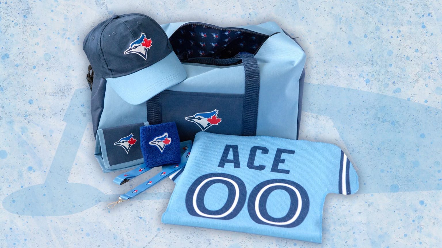 Jr. Jays Prize Blitz | Toronto Blue Jays