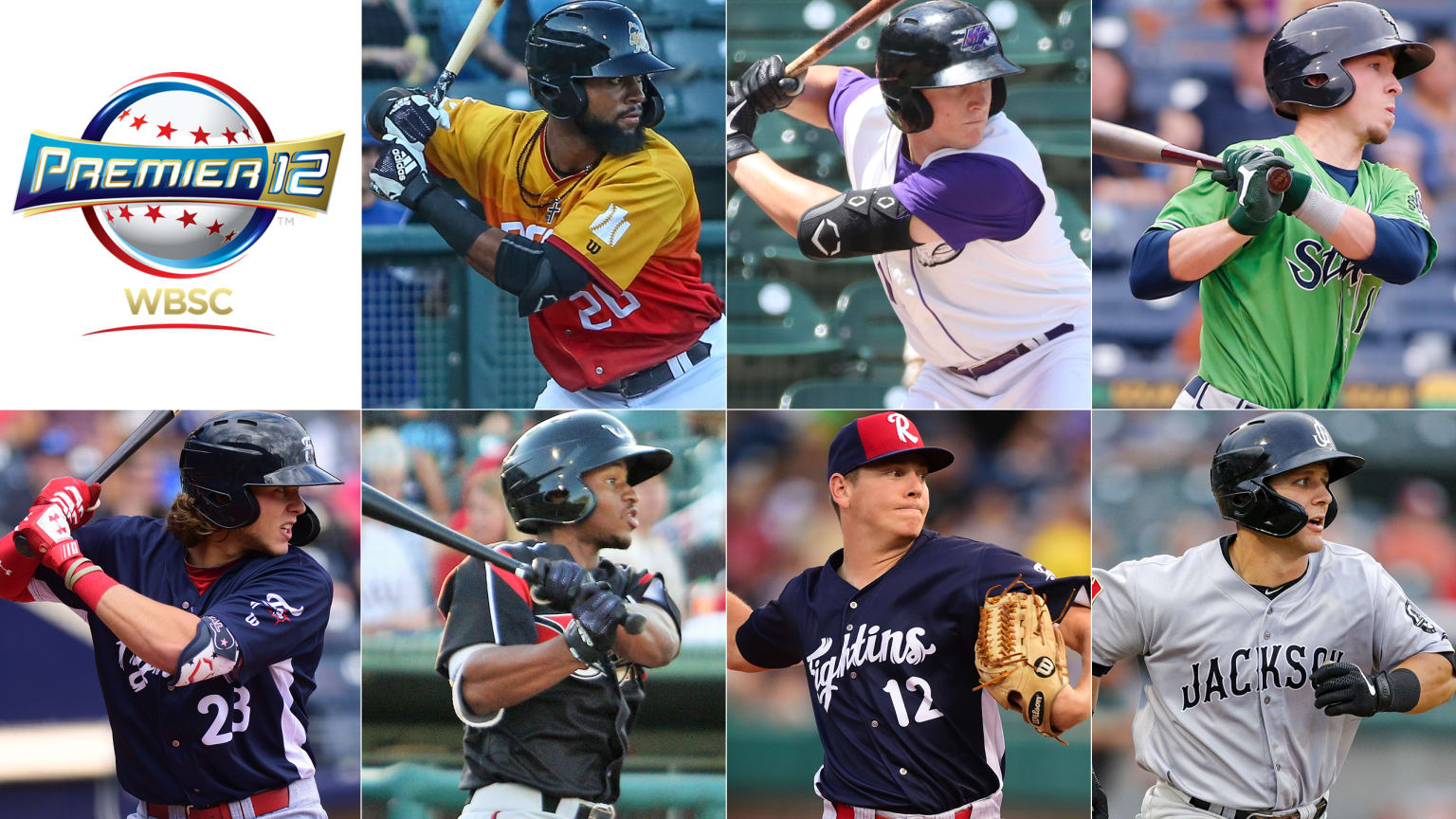 USA Baseball Premier12 tournament roster