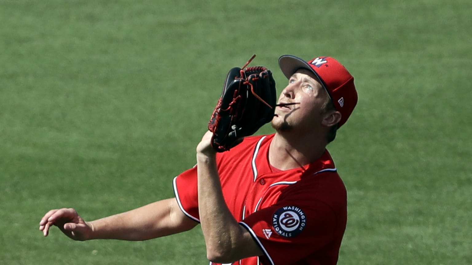 Health key to Erick Fedde's success in 2019