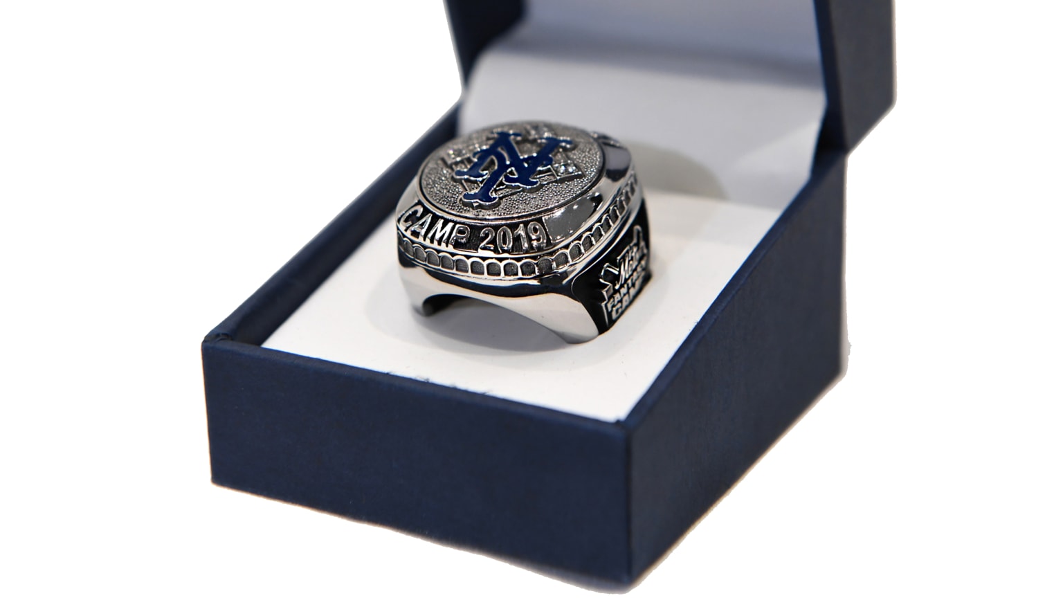 Mets Fantasy Camp | New York Mets