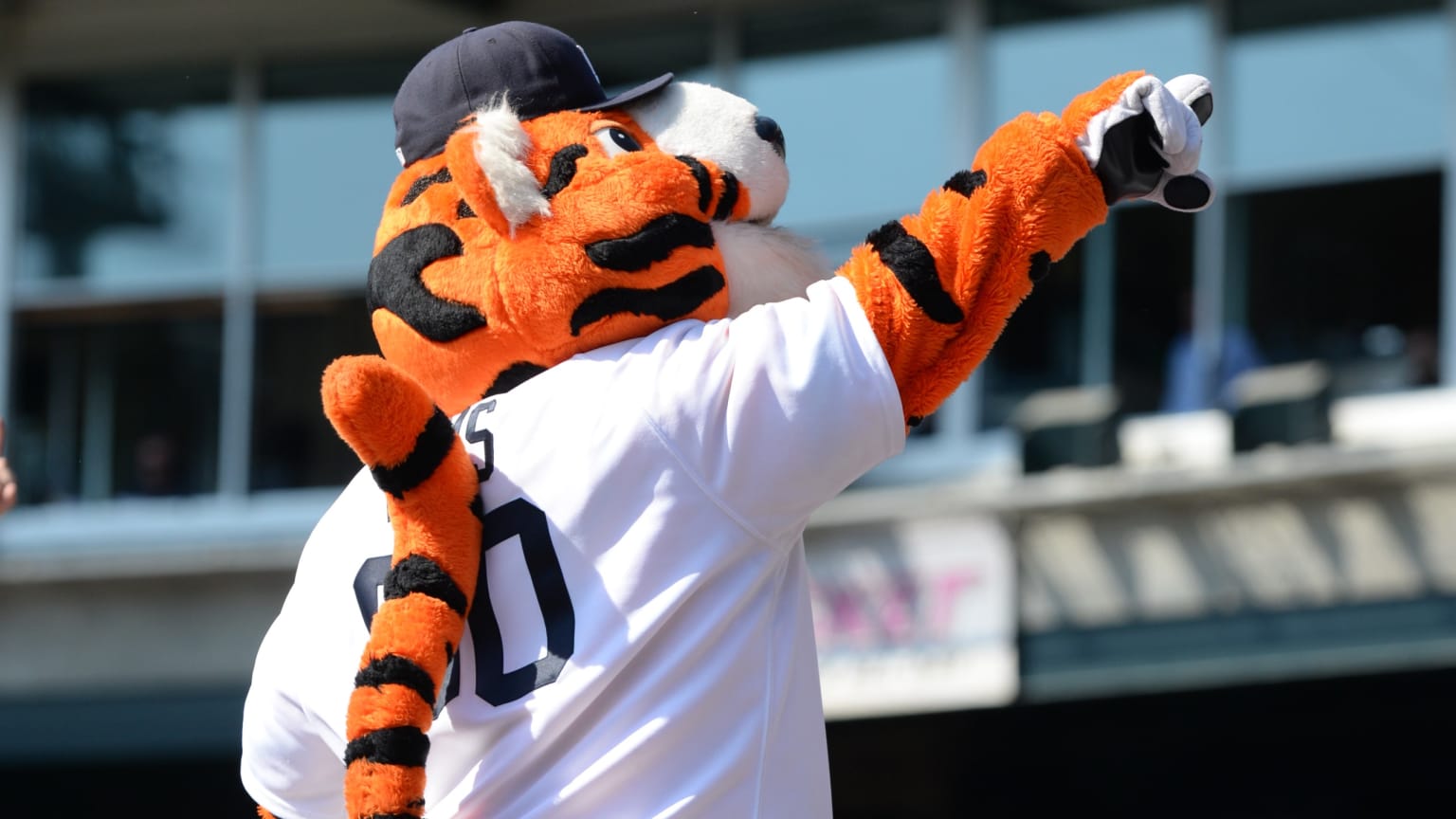 Detroit Tigers | Detroit Tigers