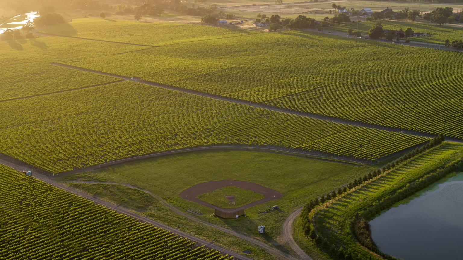 The baseball field in a wine vineyard