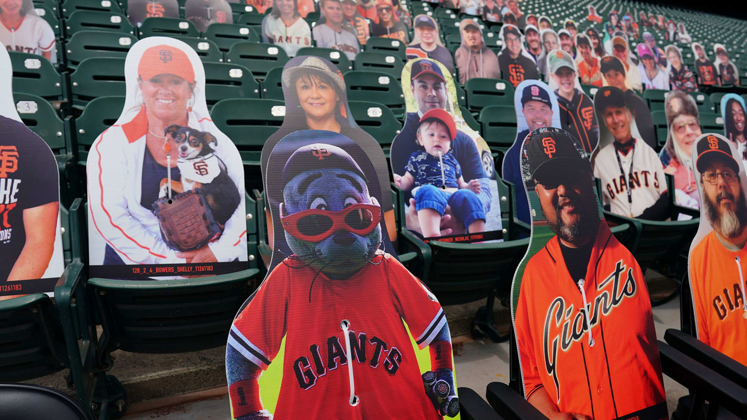 Giants Fan Cutouts | San Francisco Giants