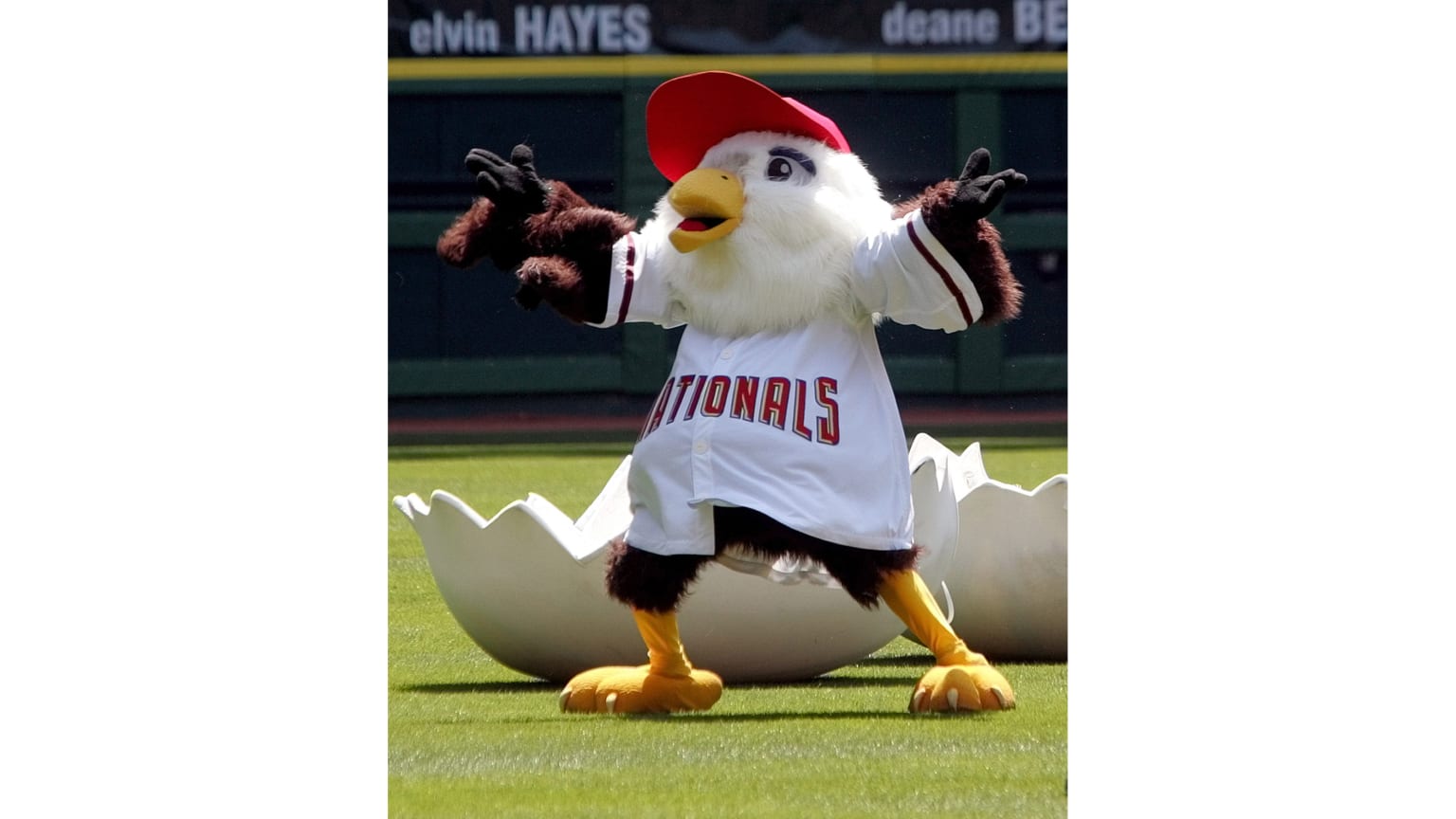 MLB mascots origin stories