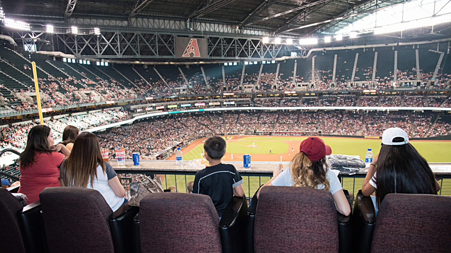 Party Suite B | Chase Field | Arizona Diamondbacks