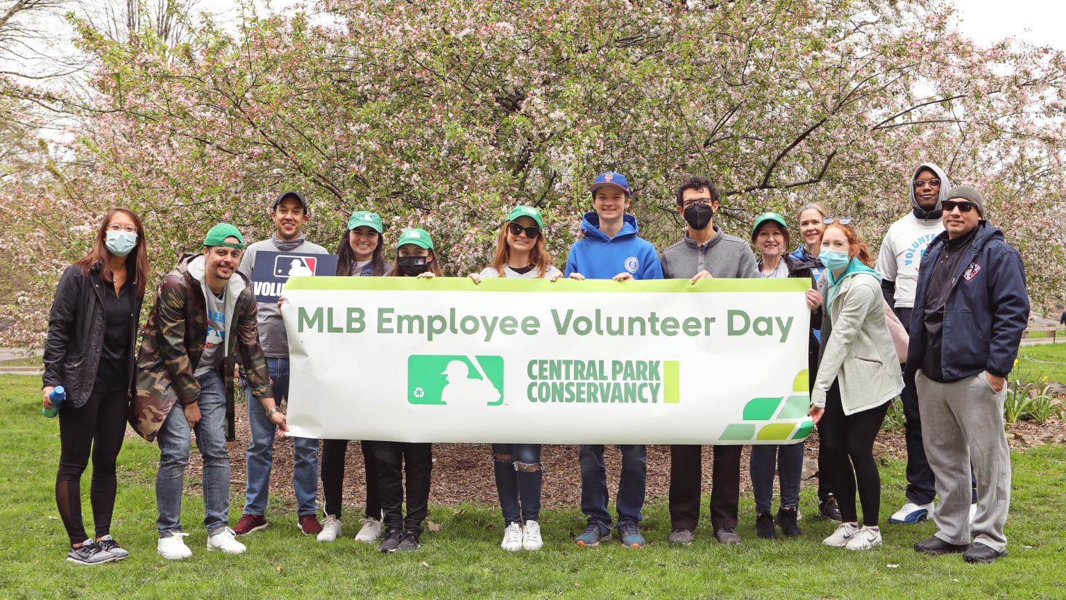MLB employees volunteer at Central Park
