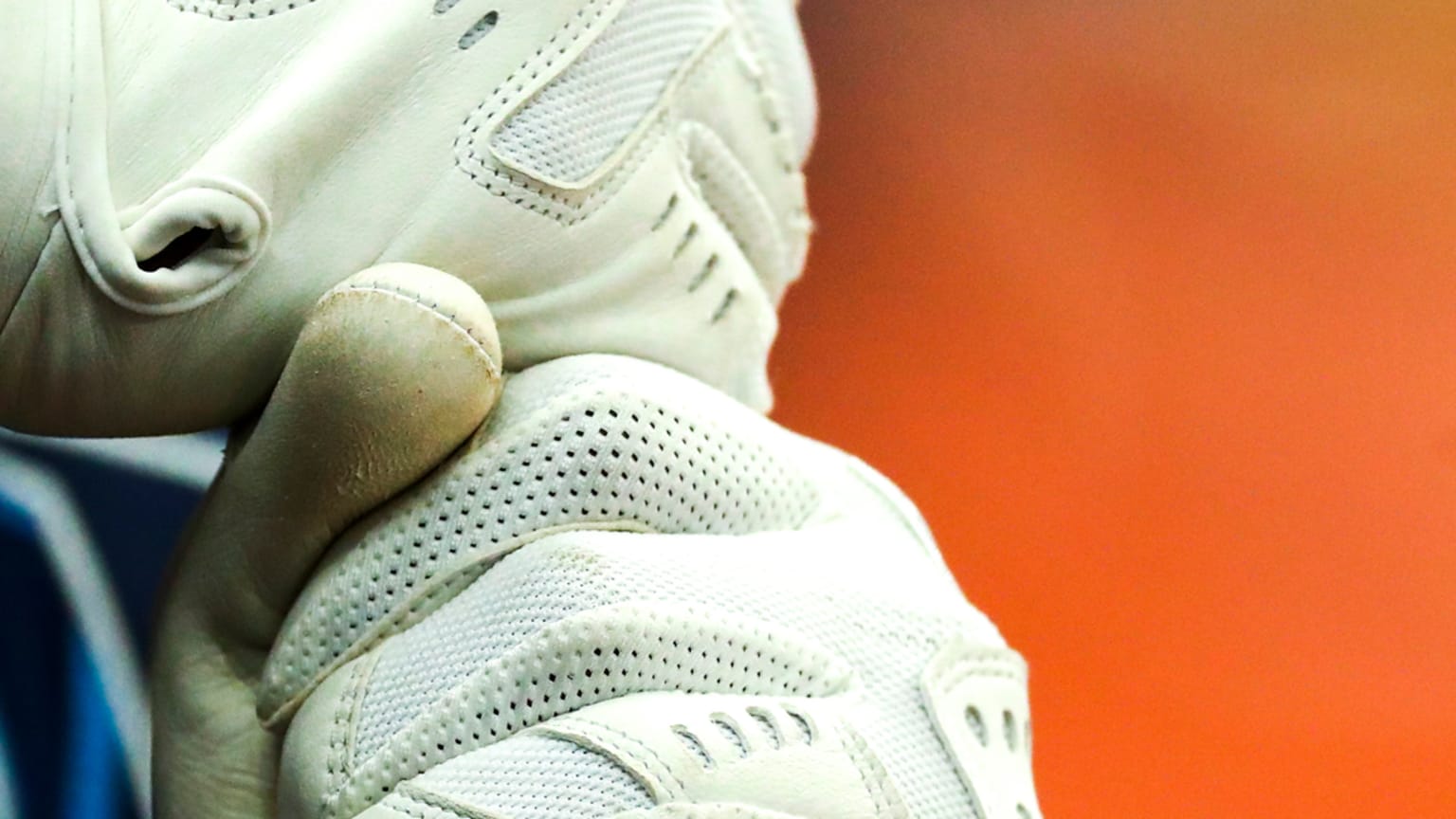 Rays Rookies Club | Tampa Bay Rays