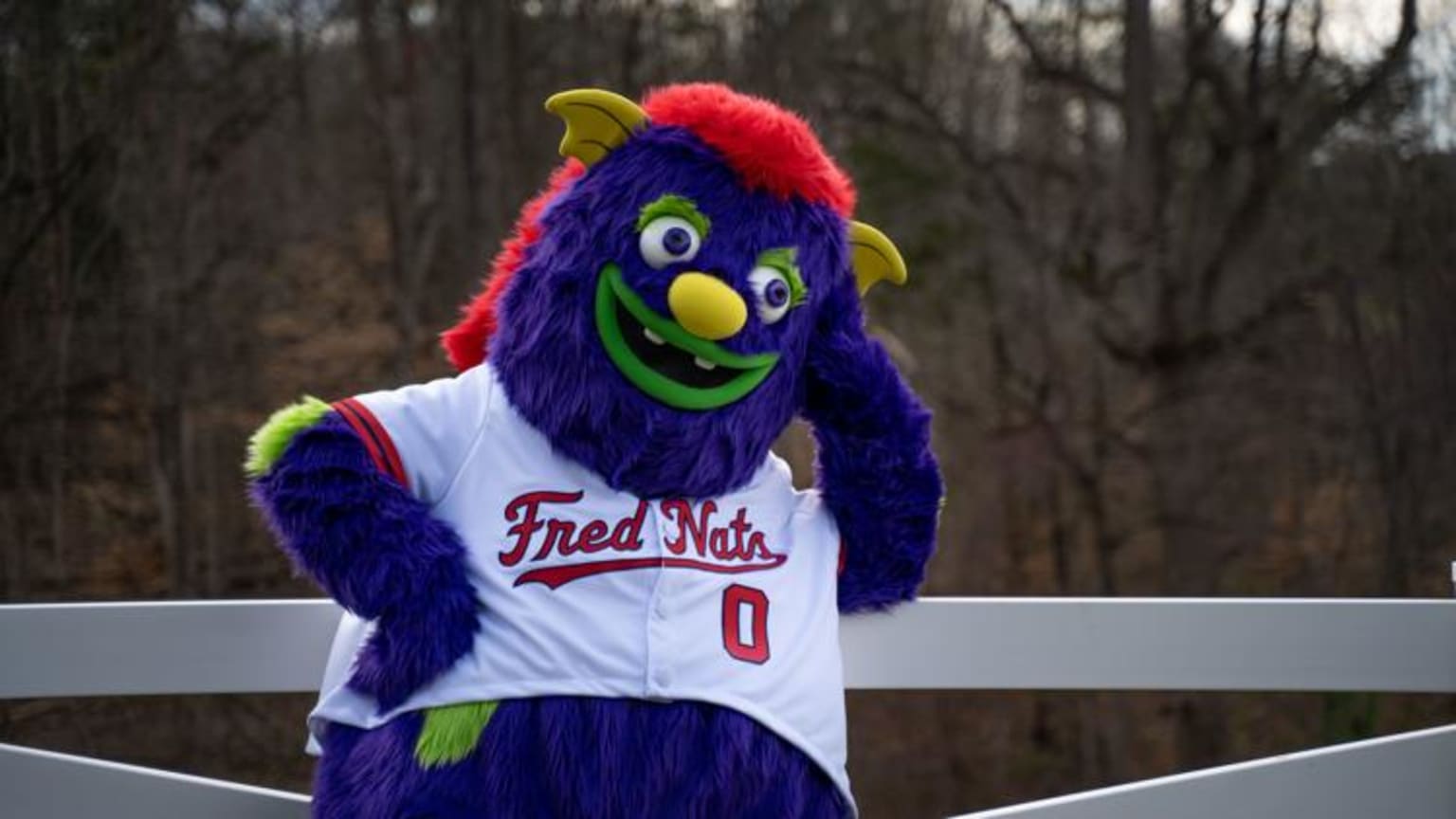 Baseball's new mascot Gus