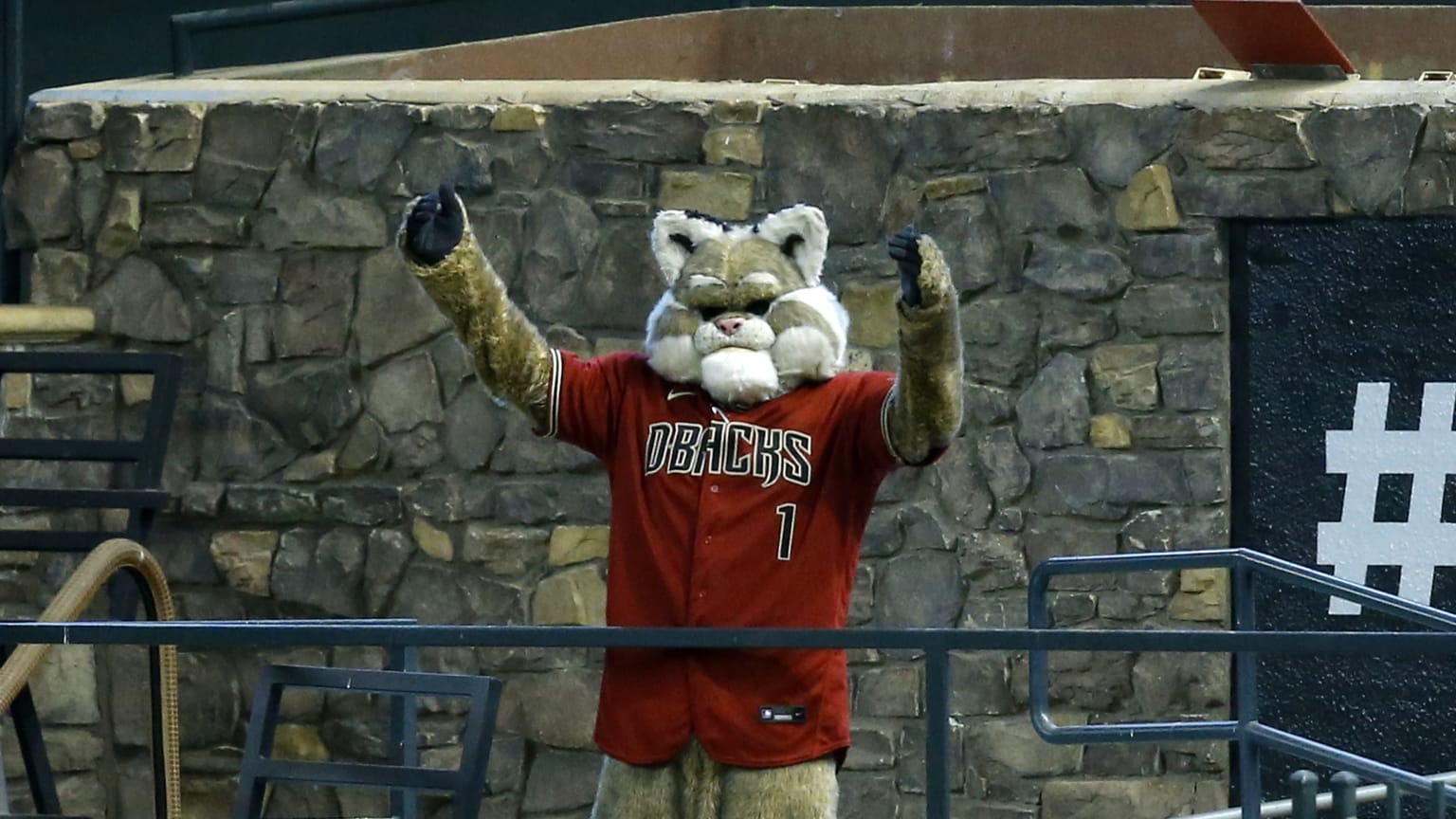 History of D-backs' bobcat mascot