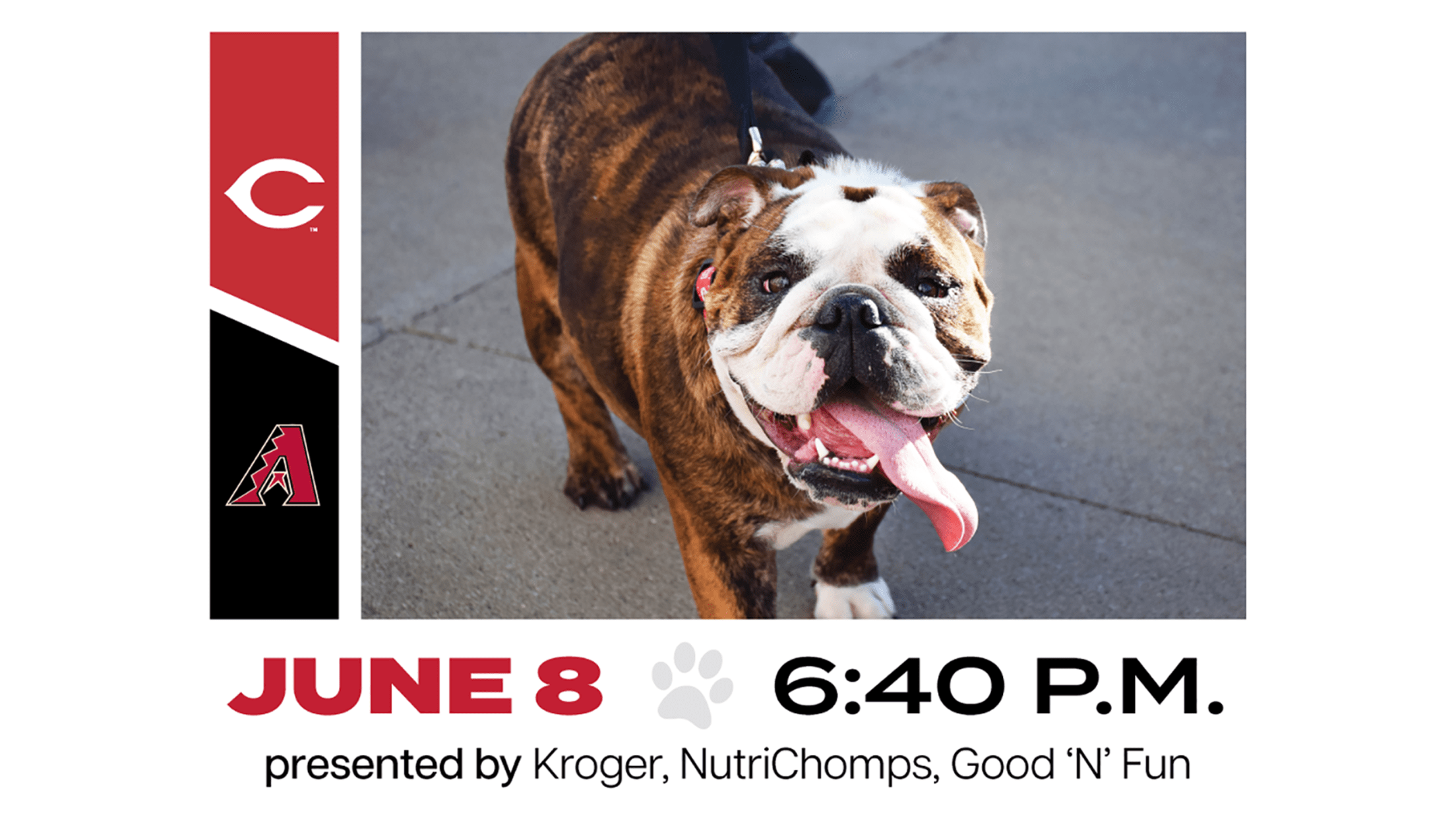 Bark in the Park | Events | Tickets | Cincinnati Reds