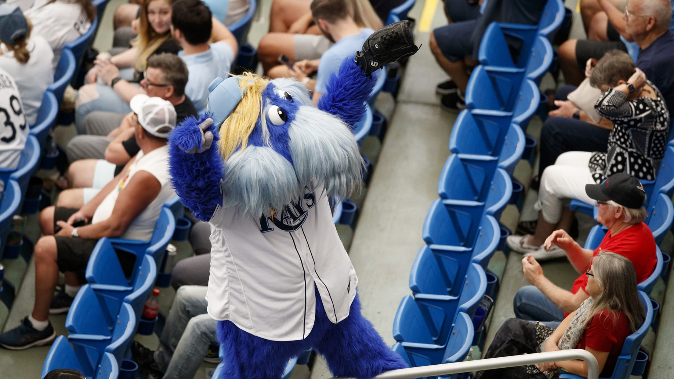 Request Raymond | Tampa Bay Rays