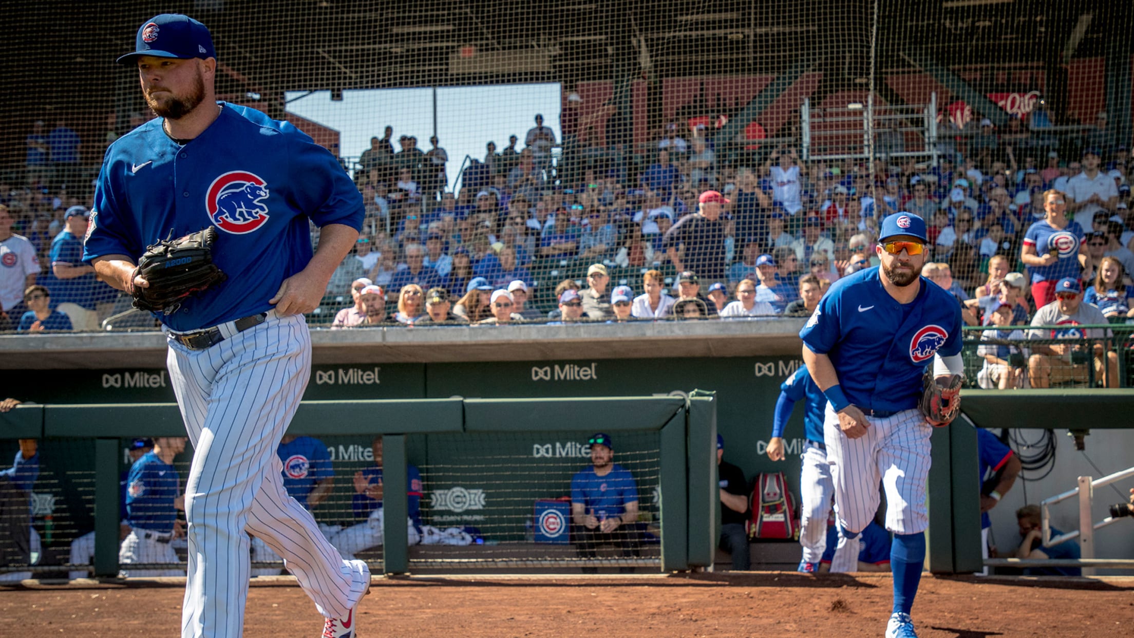 Cubs Backgrounds | Chicago Cubs
