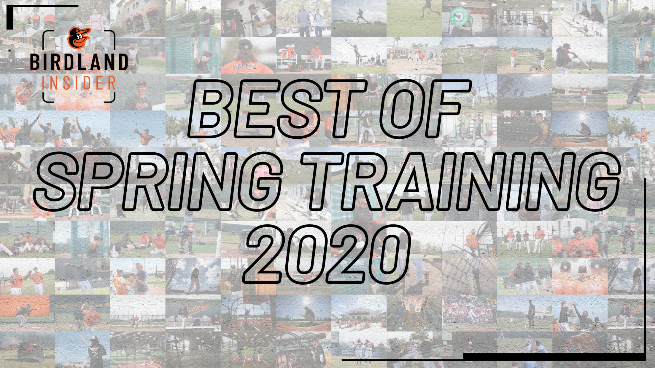 Birdland Insider: Best of Spring Training 2020 | MLB.com