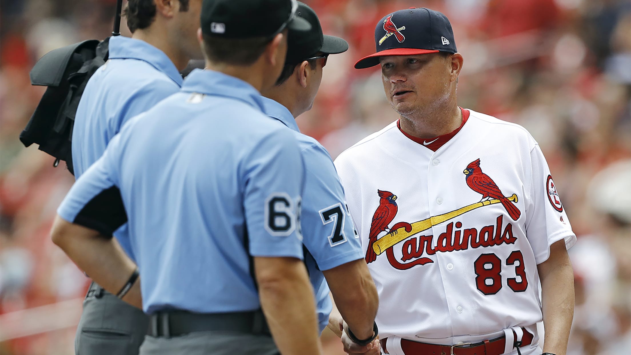 Cardinals Magazine Photo Galleries | St. Louis Cardinals