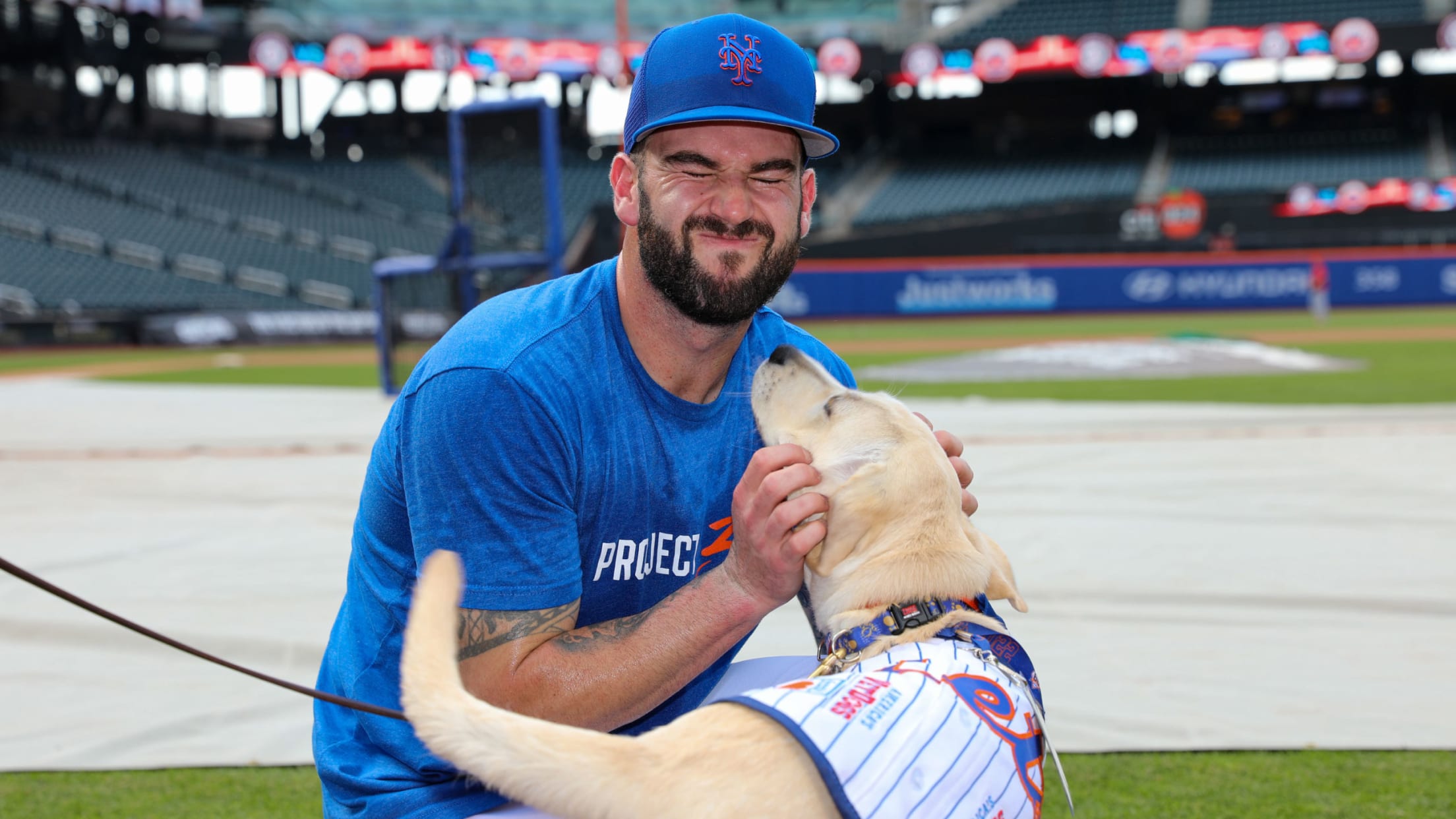 Amazin' Mets Foundation Mets Vet Dog | New York Mets