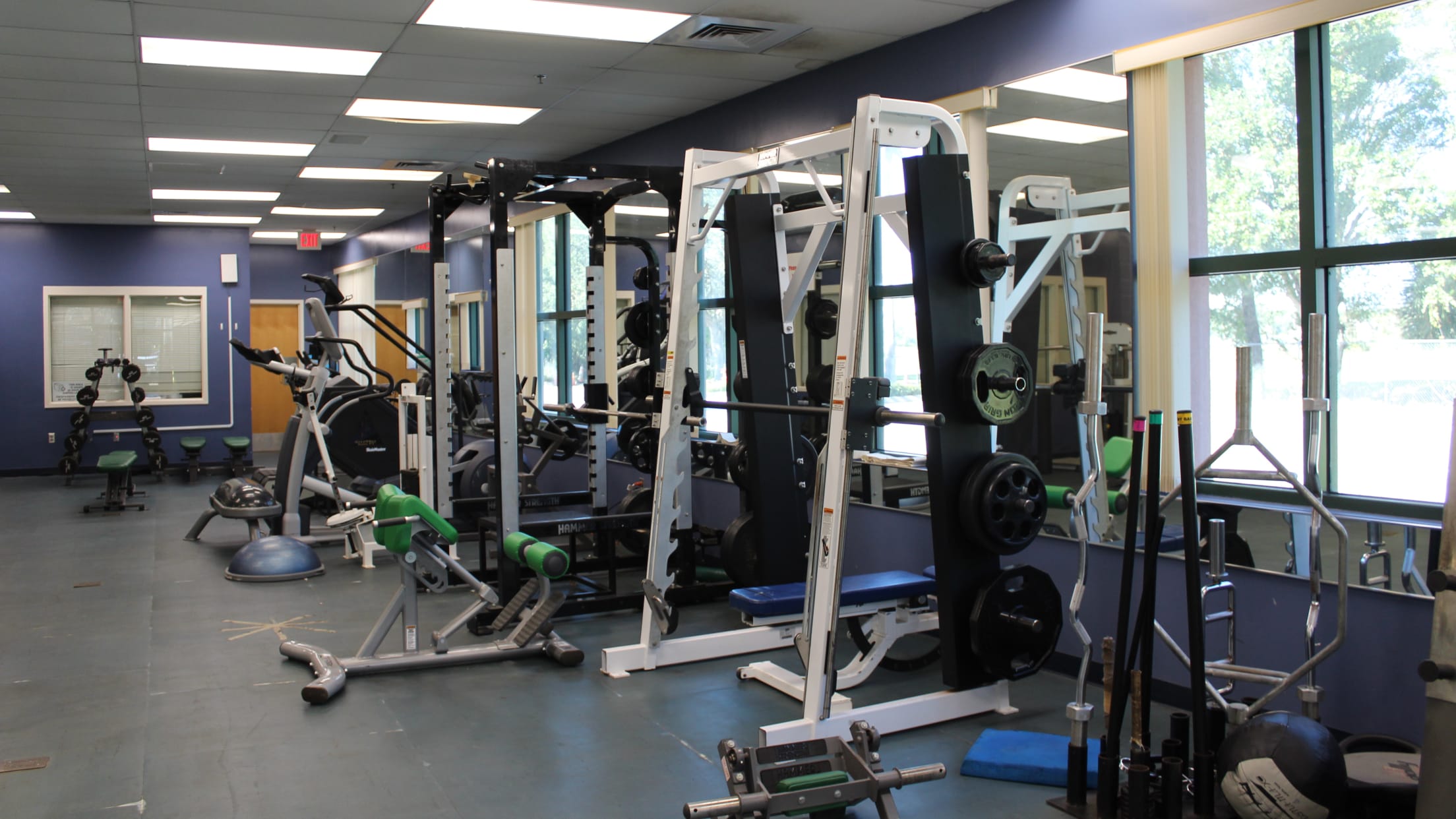 Recreational Activities | Jackie Robinson Training Complex | MLB.com