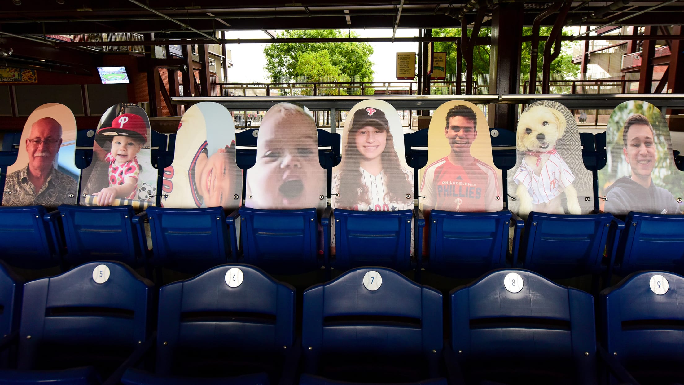 Phillies Game Face Fan Photo Cutouts | Philadelphia Phillies