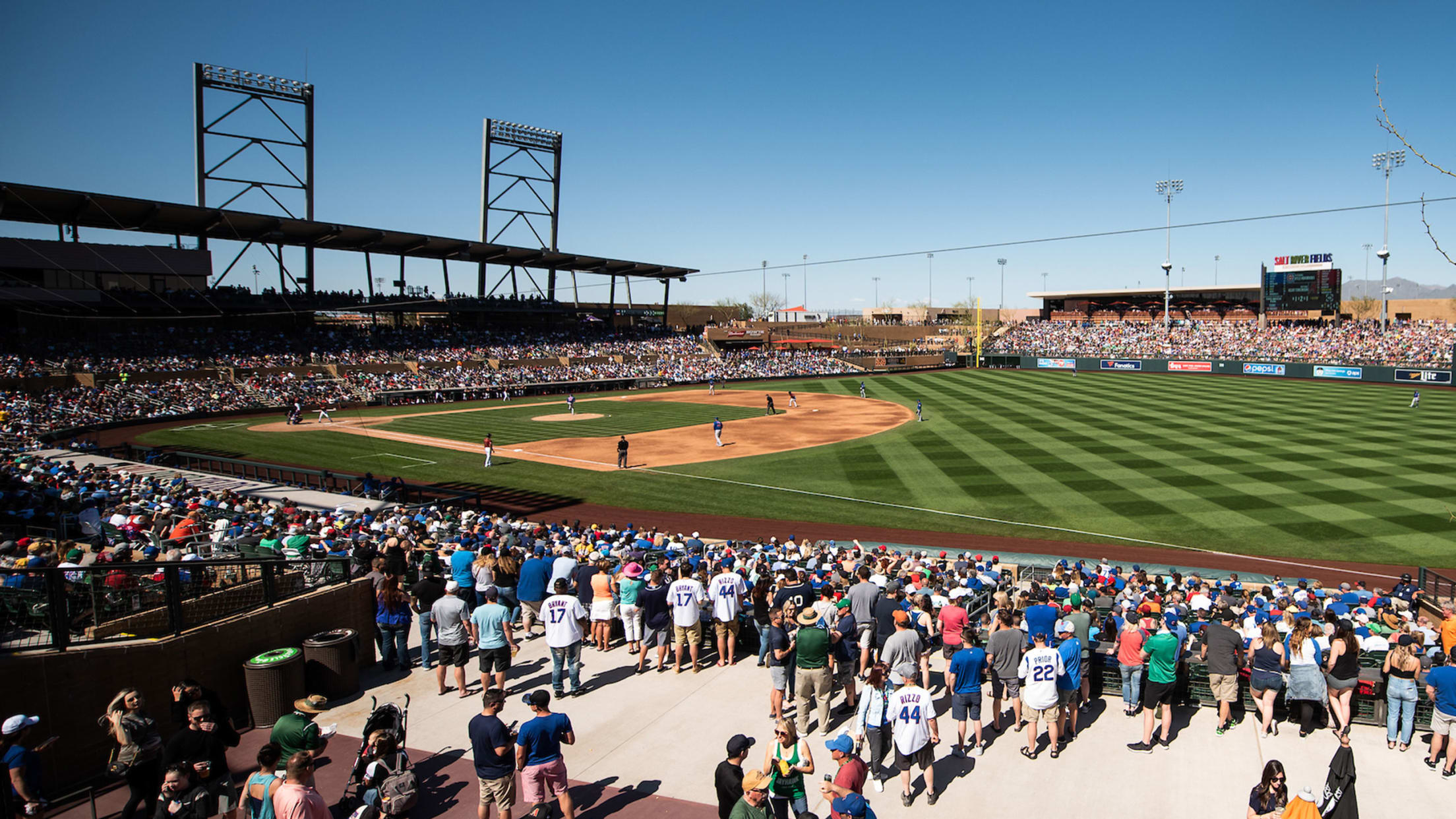 Spring Training | Arizona Diamondbacks
