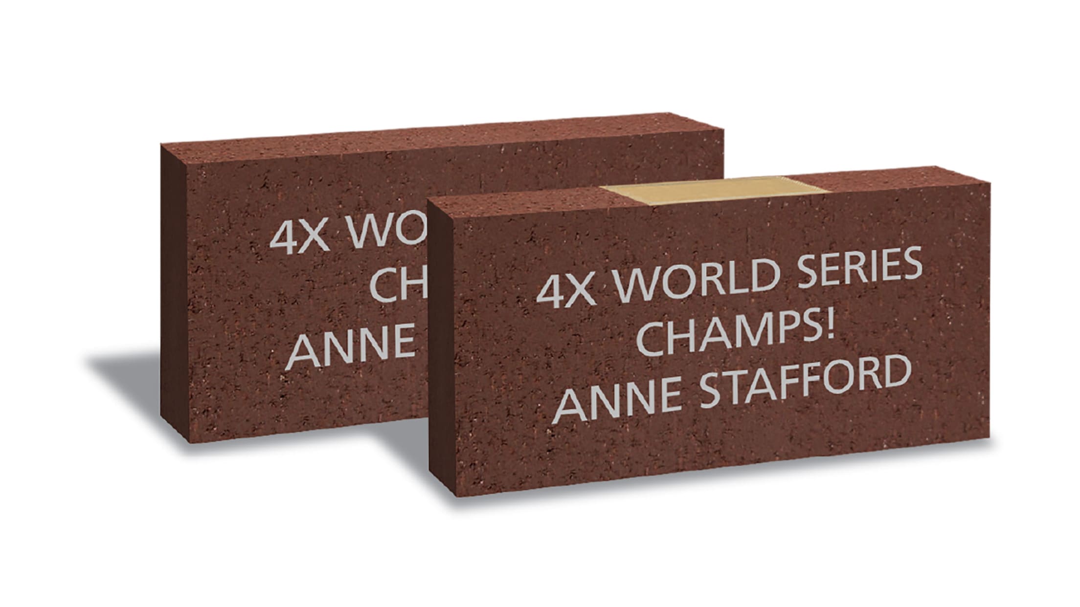 2021 World Series Championship Legacy Bricks | Atlanta Braves