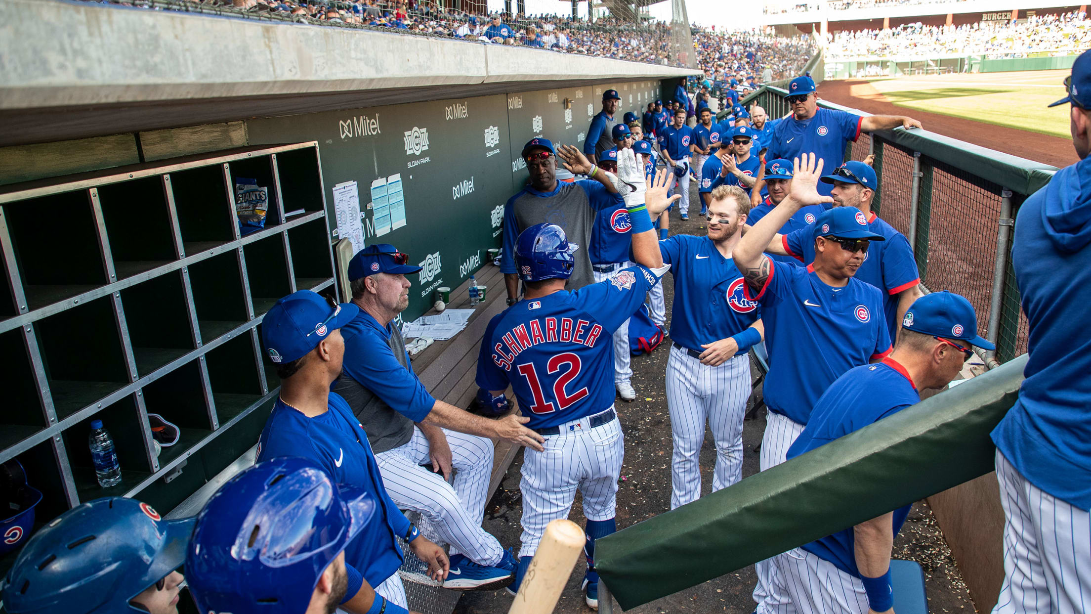 Cubs Backgrounds | Chicago Cubs
