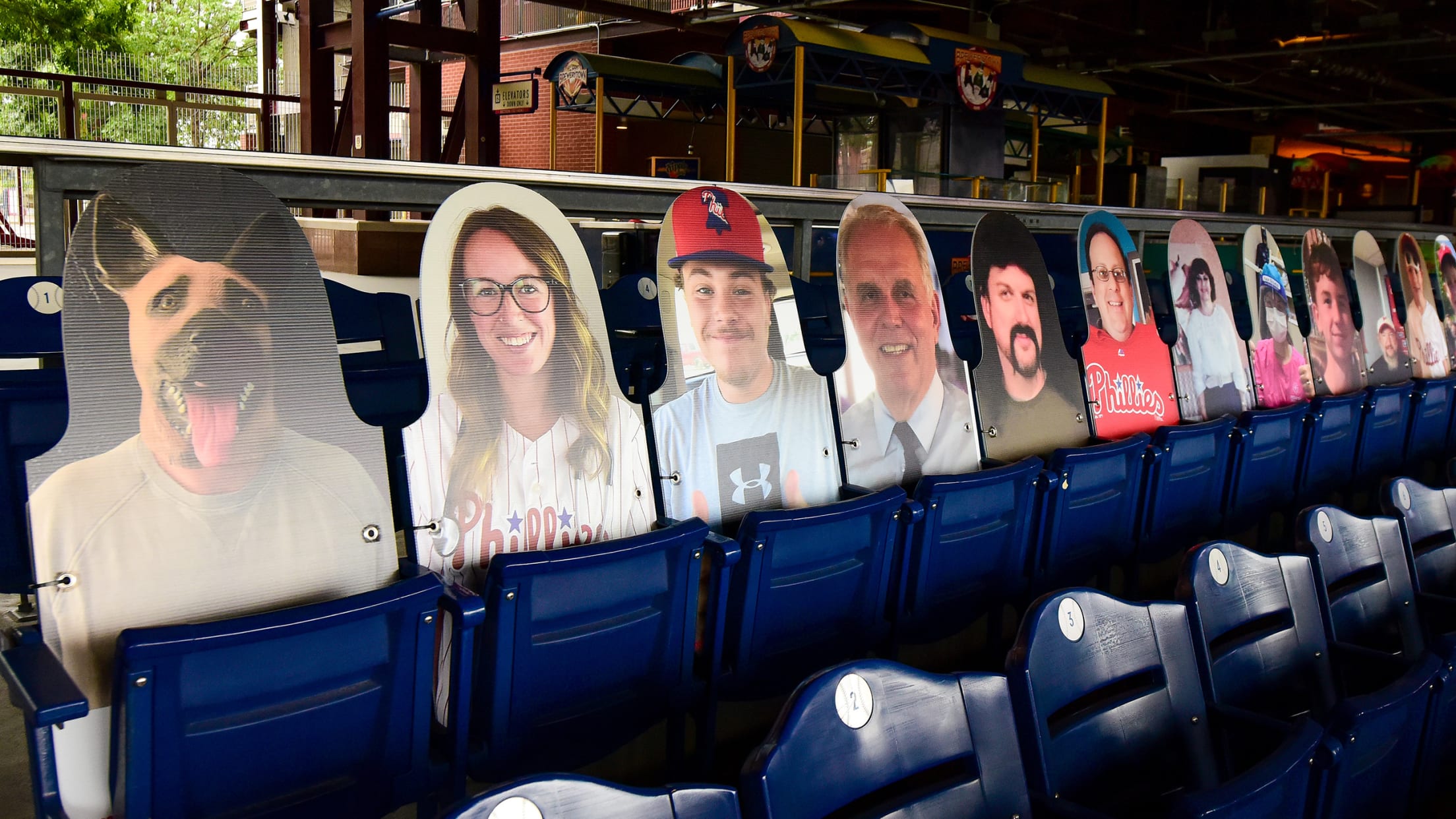 Phillies Game Face Fan Photo Cutouts | Philadelphia Phillies