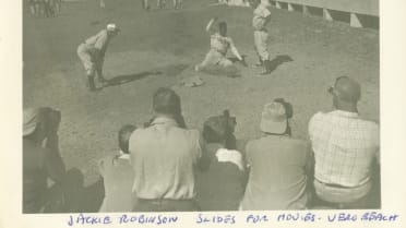 Photo Galleries | Jackie Robinson Training Complex | MLB.com
