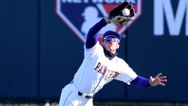 Andre Dawson Classic baseball job opportunities