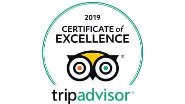 Oracle Park Food Guide | San Francisco Giants