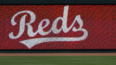 Cincinnati Reds team name origin