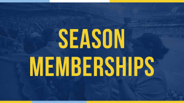 Rays Ticket Information | Tampa Bay Rays