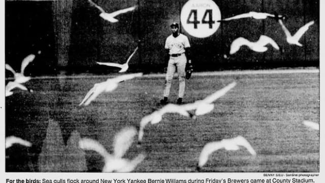 Brewers' best traditions