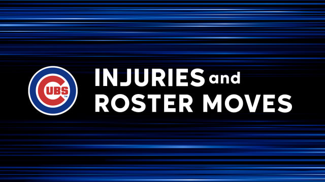 Cubs injuries and roster moves