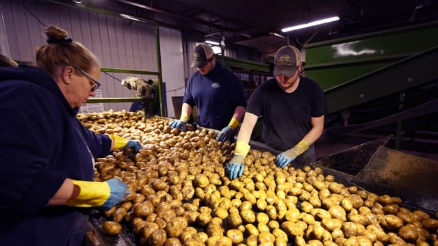Catcher uses potato in baseball game