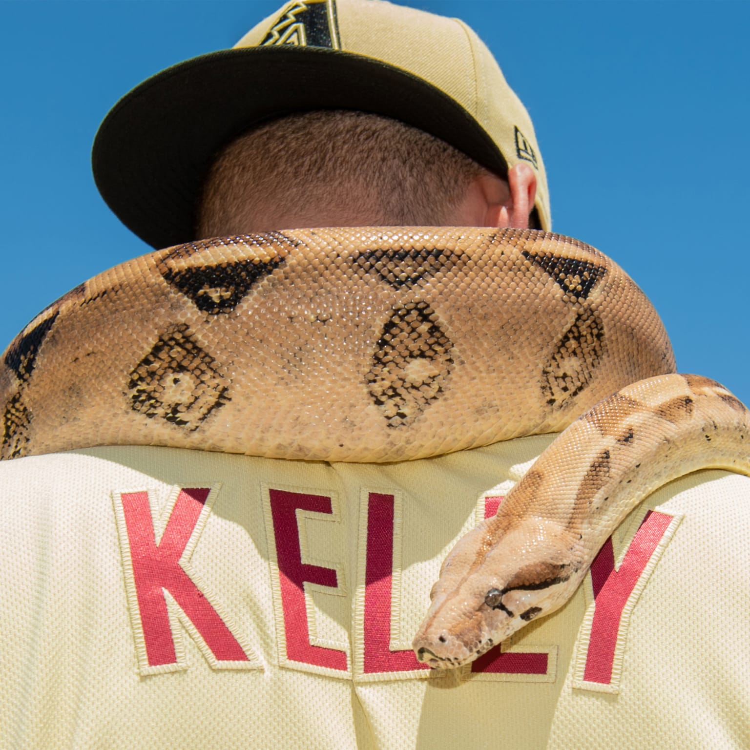 City Connect Uniforms | Arizona Diamondbacks