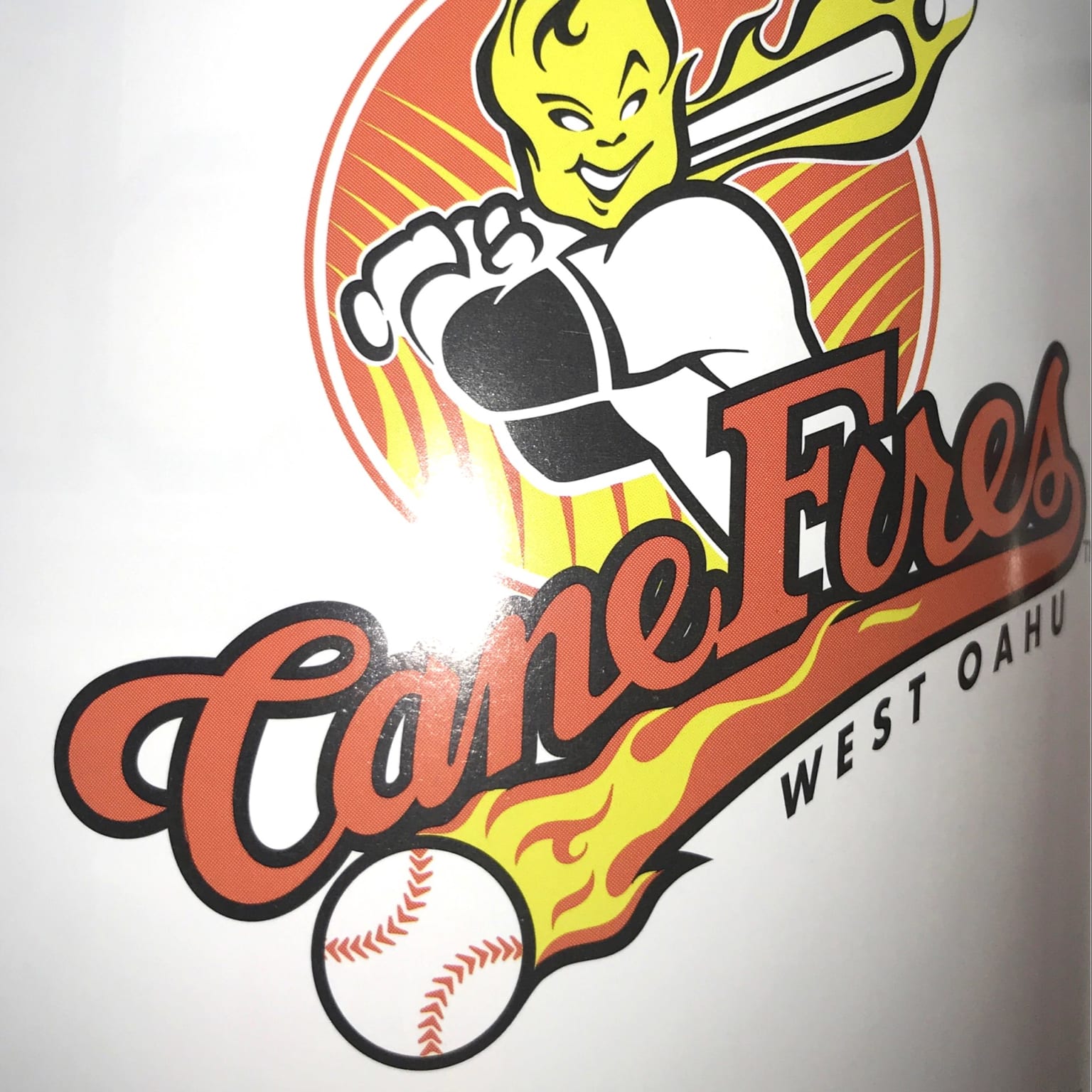 Hawaiian Winter League Look Back
