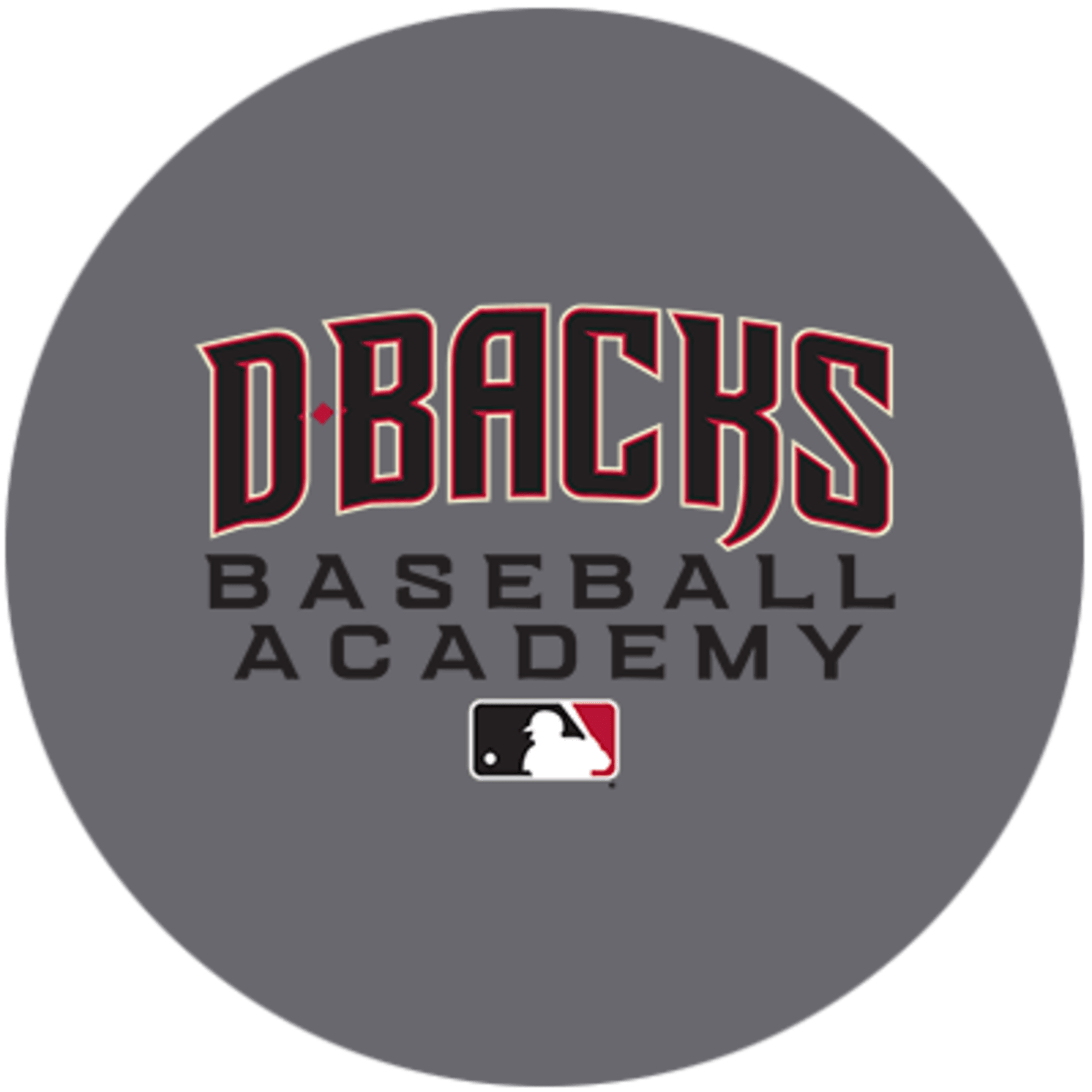 D-backs Baseball Academy | Arizona Diamondbacks