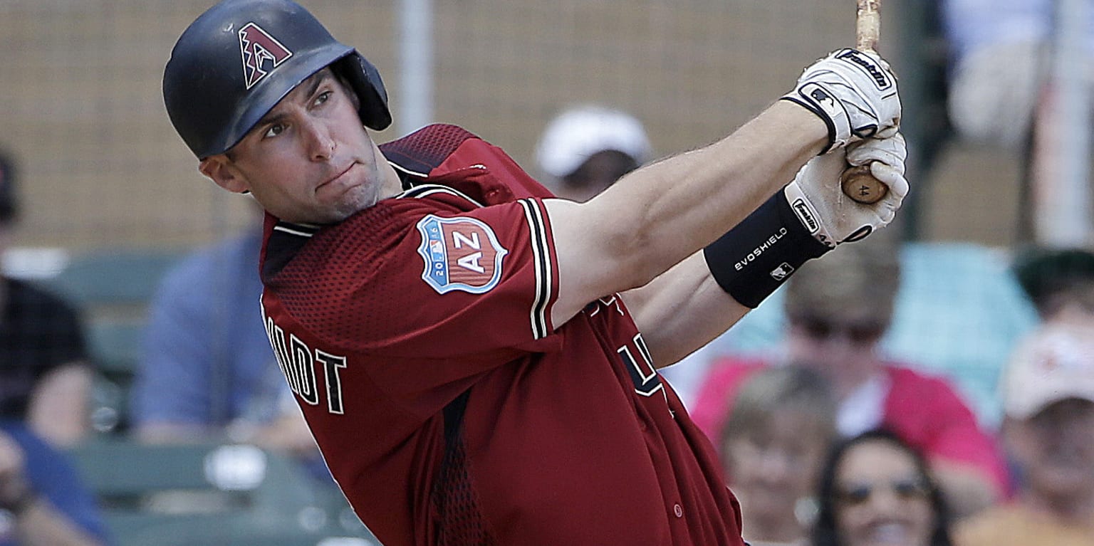 ARI GOLDSCHMIDT 040416