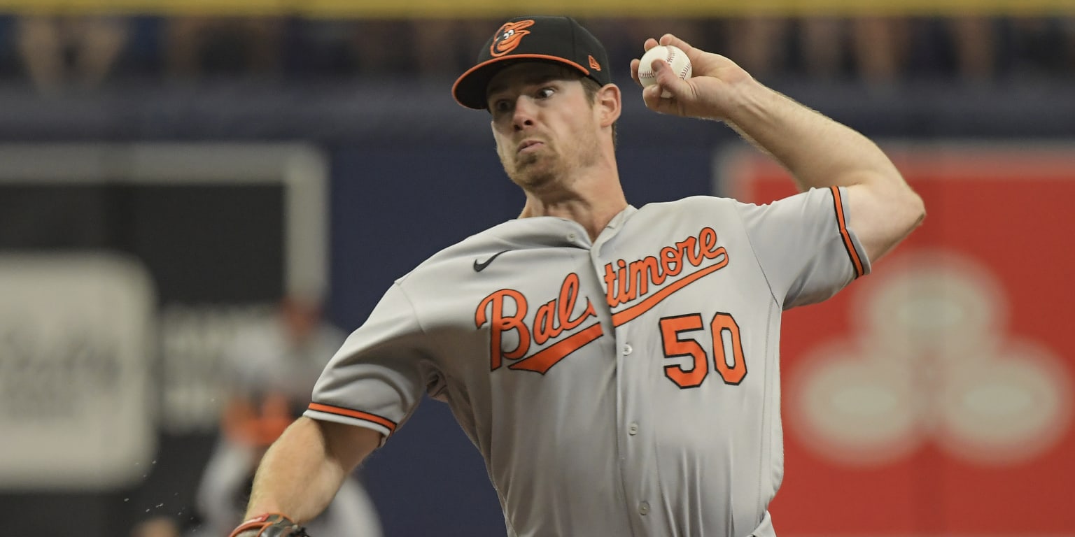 Bruce Zimmermann, Orioles lose to Rays