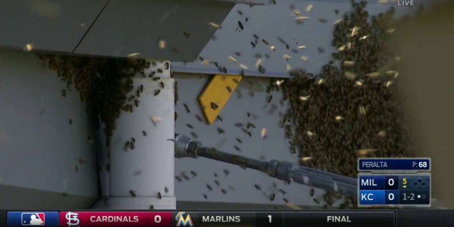 Saturday's Brewers-Royals game was interrupted by a truly terrifying ...