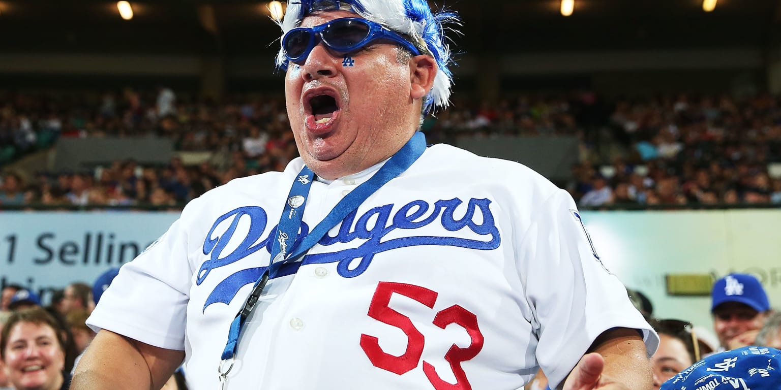 Nine of the craziest things people have ever done for baseball | MLB.com