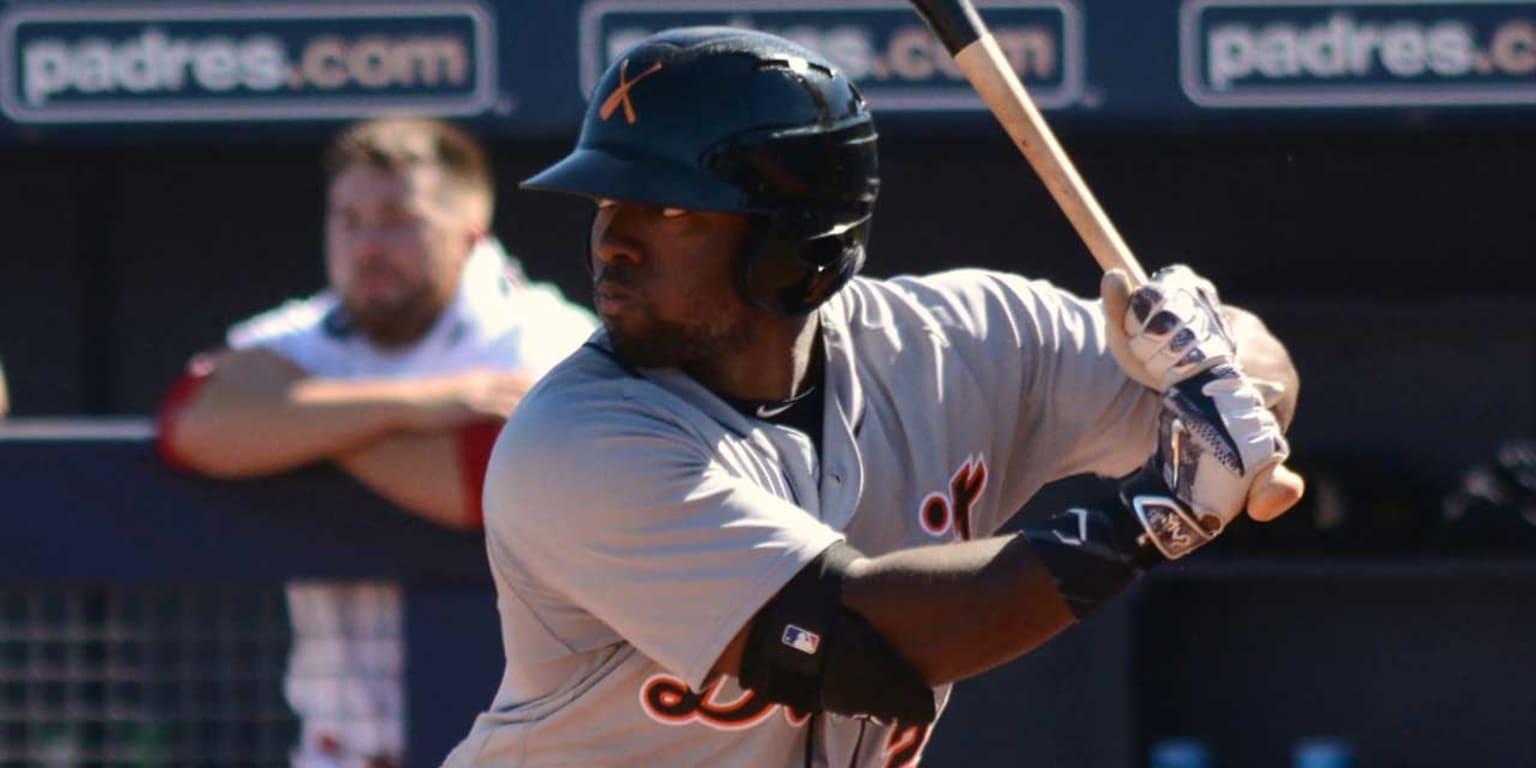 Detroit Tigers in Arizona Fall League overview