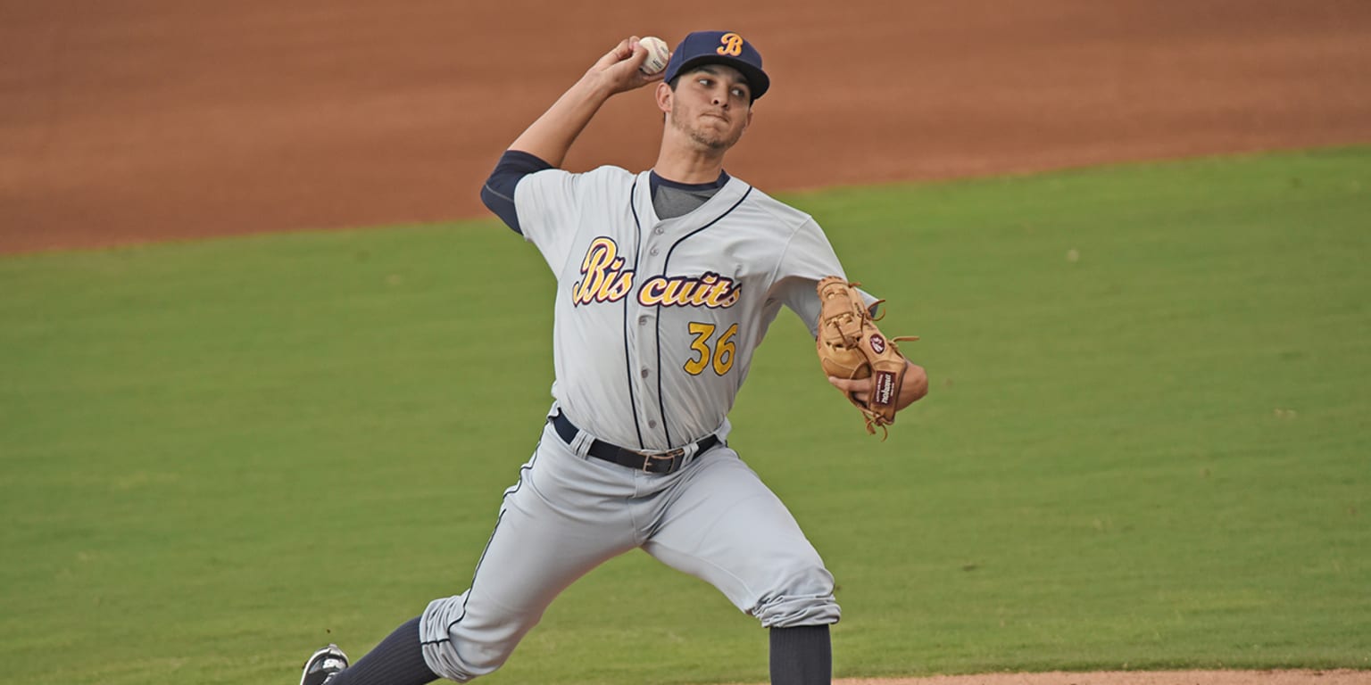 Get to know Rays prospect Jacob Faria