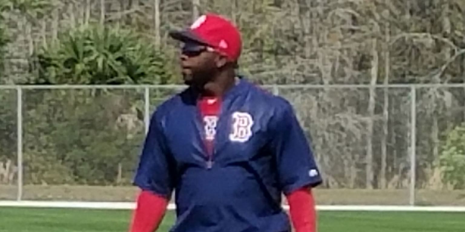 Rusney Castillo, Allen Craig hope to impress