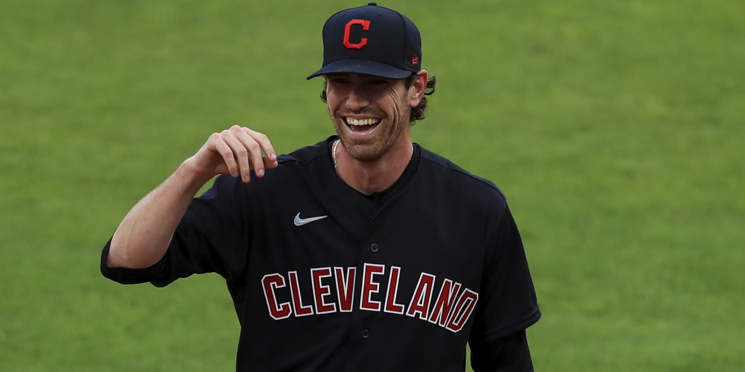 Shane Bieber pitch breakdown in 2020