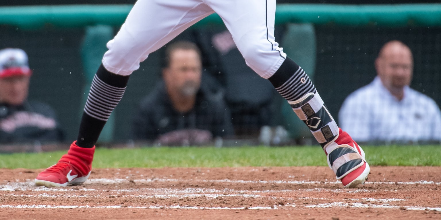 Jose Azocar blossoming in Tigers' farm system