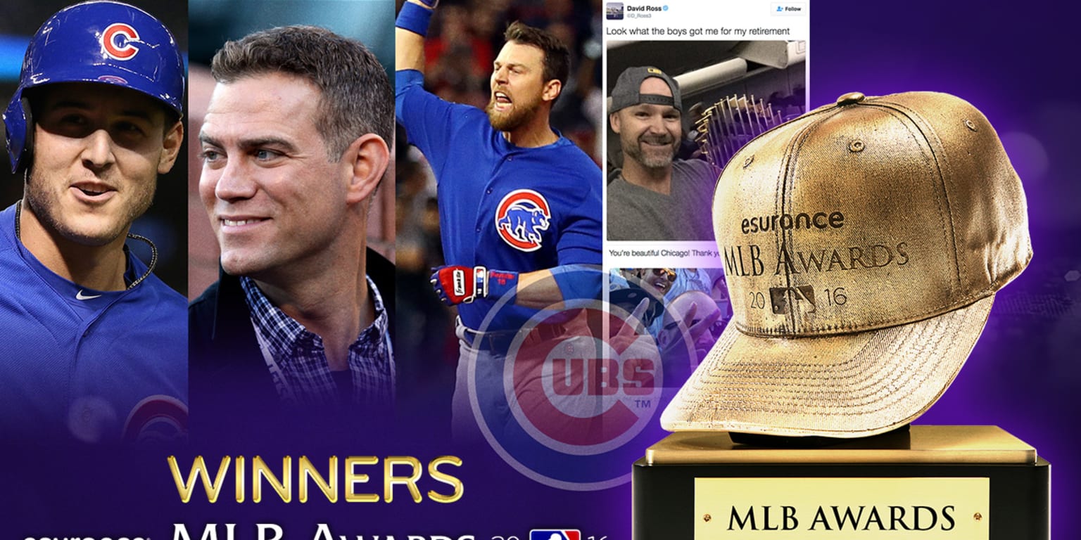 Chicago Cubs win 5 MLB Awards