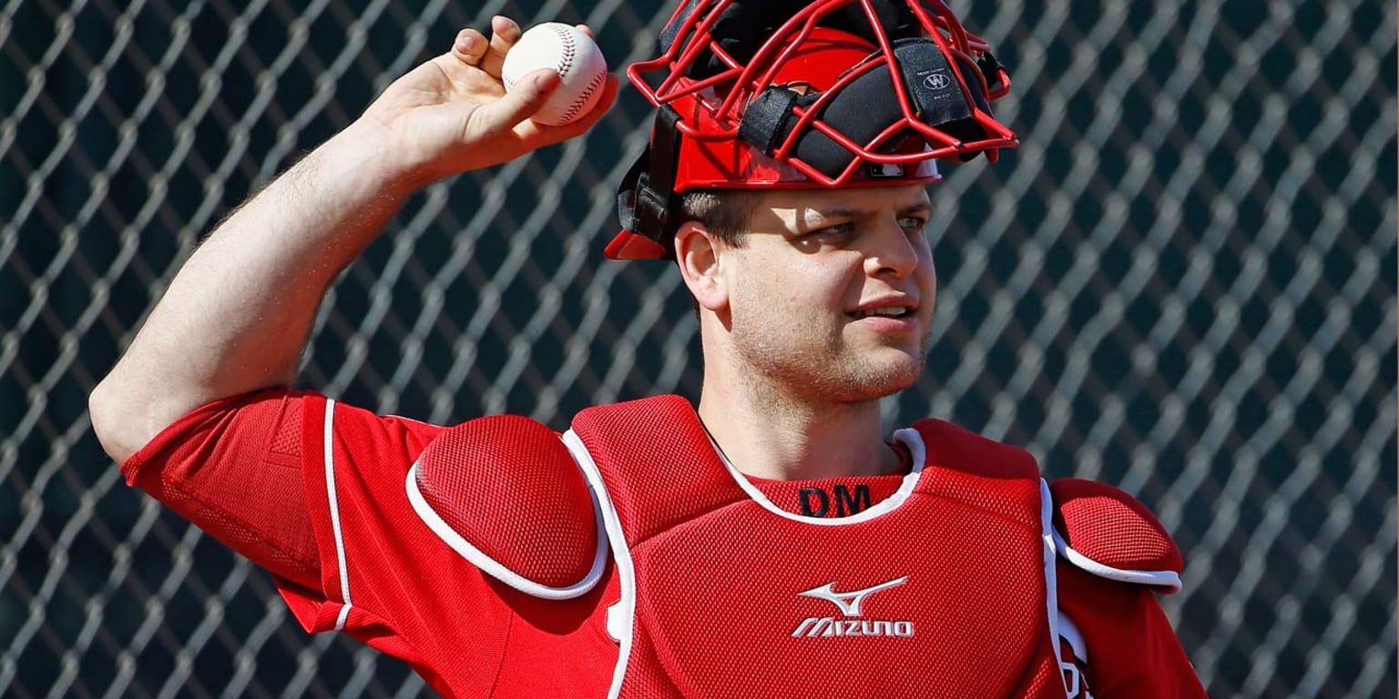 Reds' Devin Mesoraco hits homer in rehab game